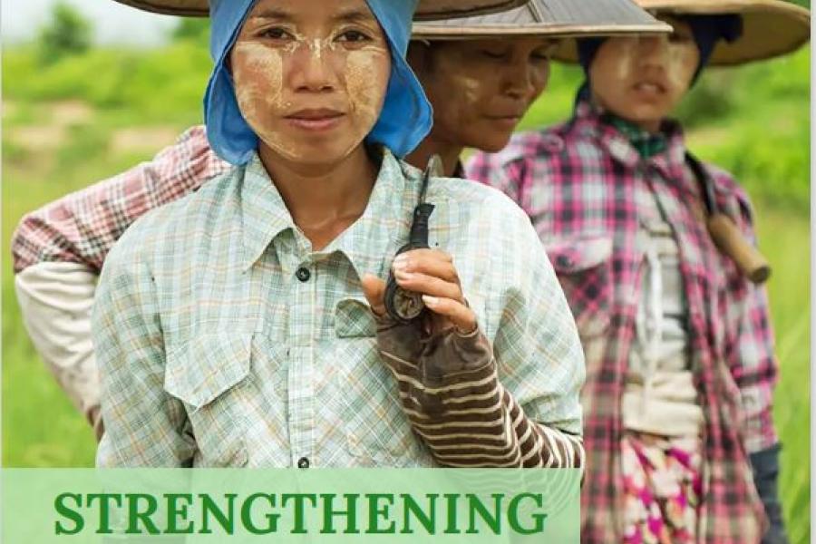 Strengthening food security in Myanmar: A roadmap for localized action ...